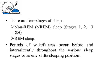Physiology of Sleep | PDF