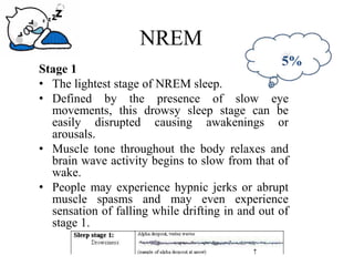 Physiology of Sleep | PDF