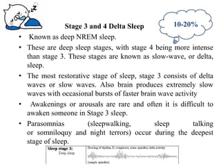Physiology of Sleep | PDF