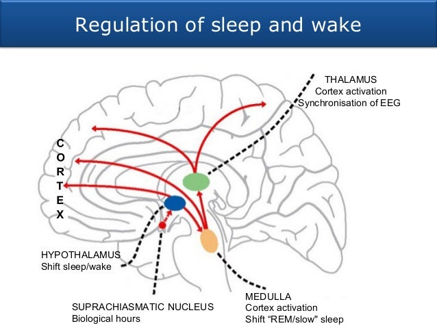 Sleep disturbances