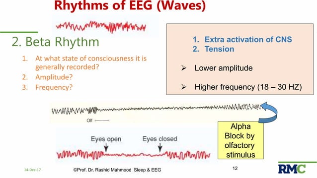 Sleep Physiology & EEG (Electroencephalogram) | PPTX | Brain and ...