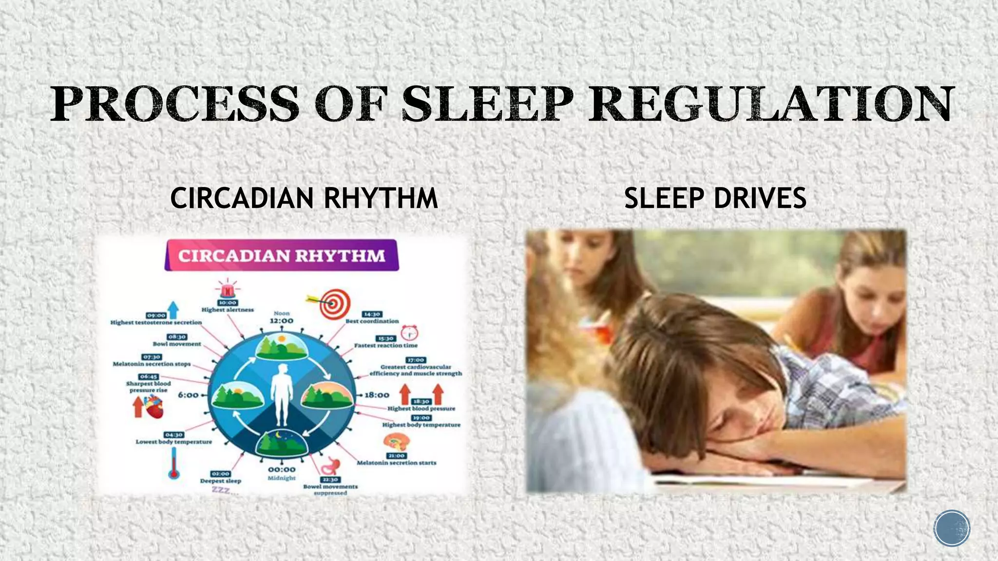 Sleep Hygiene.pptx