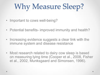Sleep in Dairy Cows | PPTX