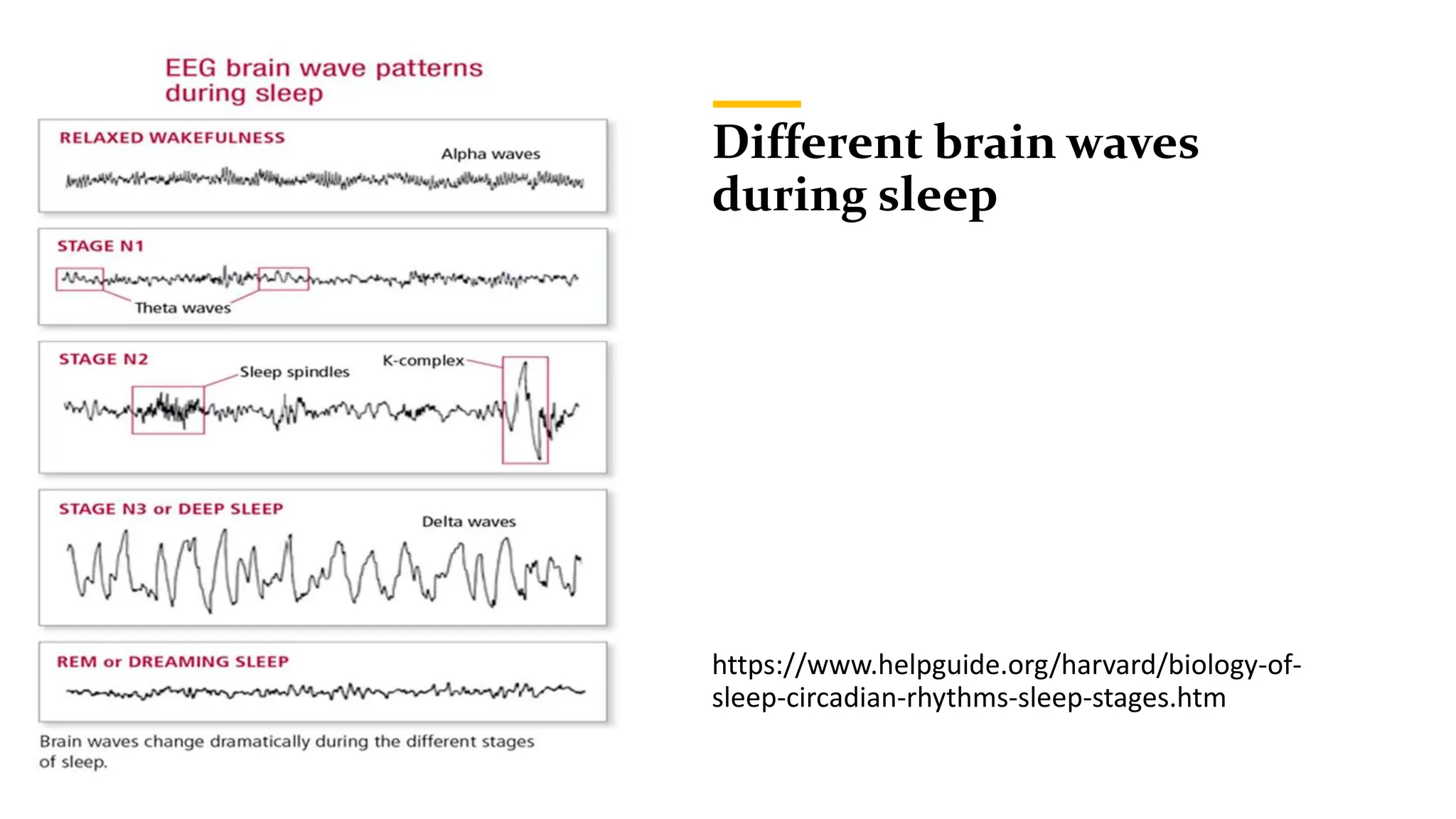 Sleep in elderly people from theory to practice.ppsx