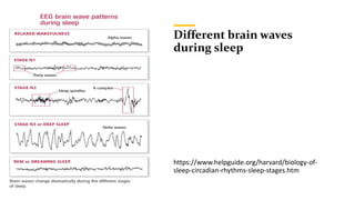 Sleep in elderly people from theory to practice.ppsx
