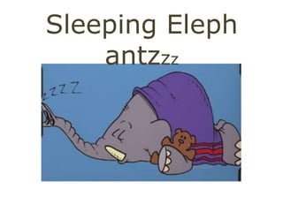 Sleeping Elephants ESL Game | PPTX