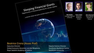 The role of the finance sector – lessons from dialogues with financial ...