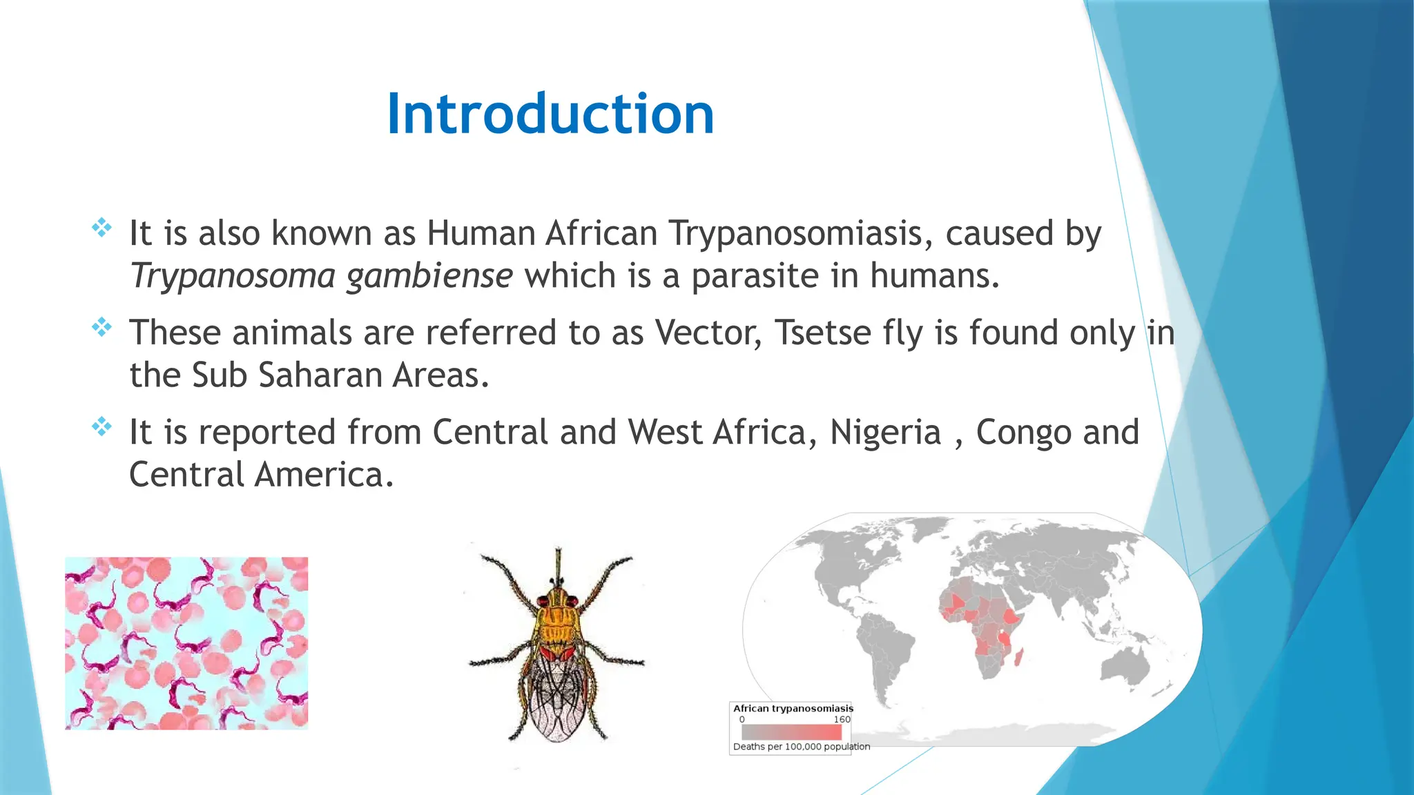 Sleeping sickness by RaghuvanshiS.K..pptx