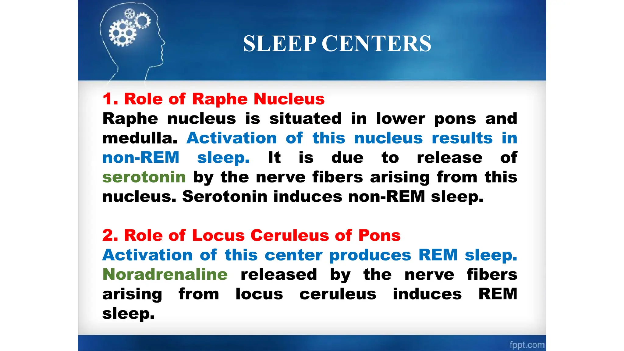 PHYSIOLOGY OF SLEEP, IT'S TYPES AND SLEEP CENTRES.pptx