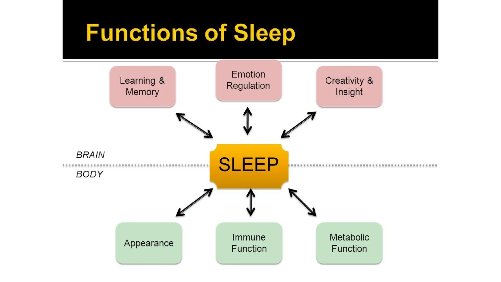 FUNCTIONS, STAGES & TYPES OF SLEEP .pptx
