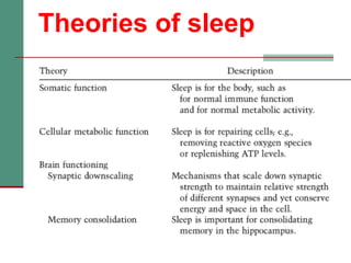 sleep motivation.pptx