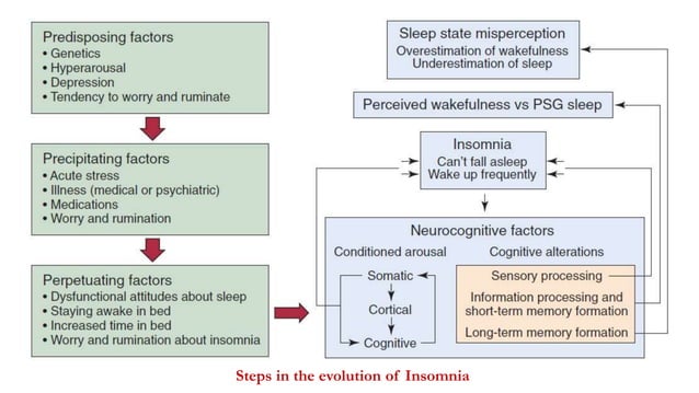Sleep Neurobiology and Insomnia.pptx
