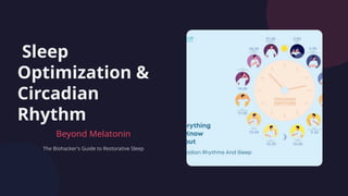 Sleep Optimization & Circadian Rhythm: The Best Sleep Supplements for ...
