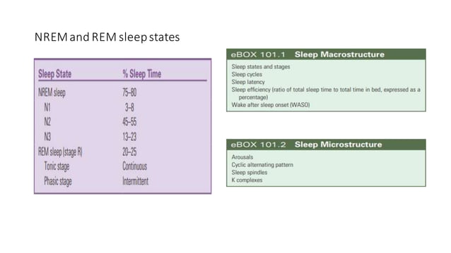 Sleep physiology.pptx by sms medical college jaipur | PPT
