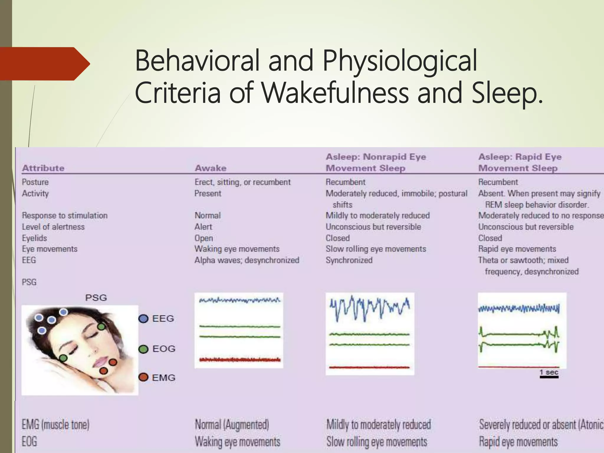 SLEEP PHYSIOLOGY .pptx