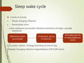 SLEEP PHYSIOLOGY .pptx