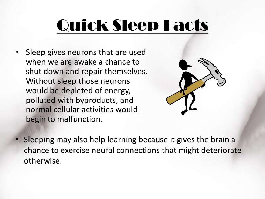 Sleep powerpoint