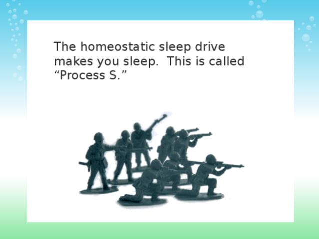 Sleep Presentation | PDF