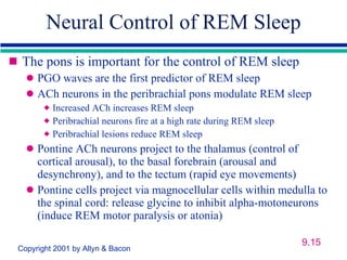 Sleep & Waking1 Ppt | PPT