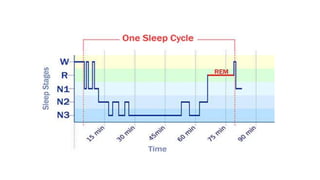 Sleep well work well taster | PPT