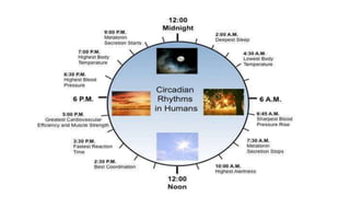 Sleep well work well taster | PPT