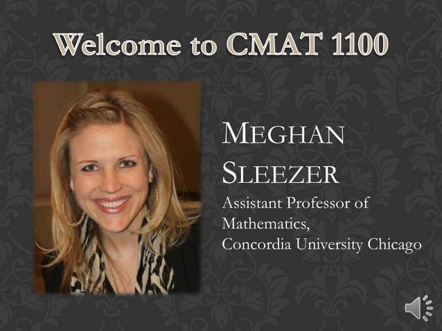 Sleezer introduction | PPTX