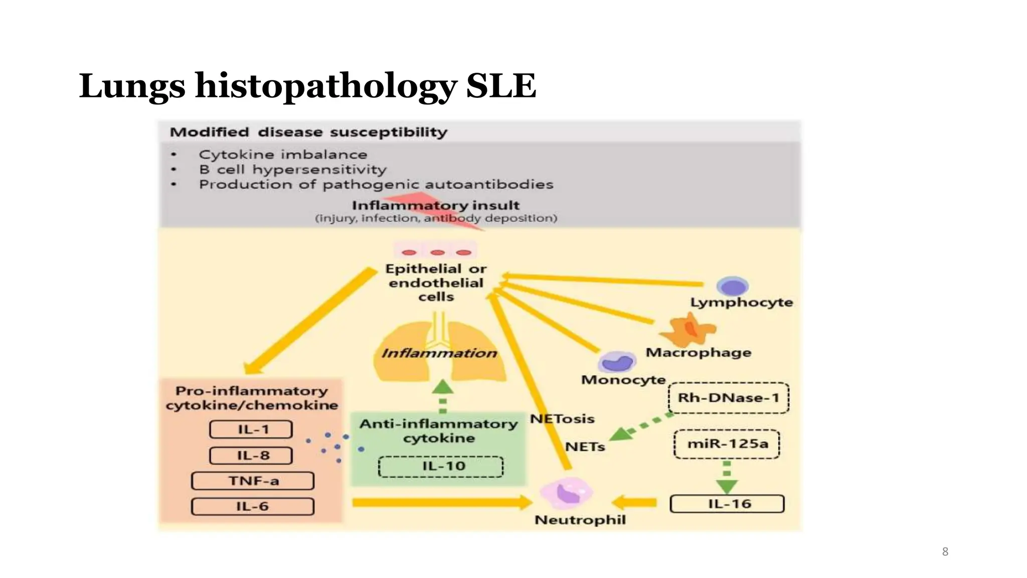 Systemic lupus erythematosus (SLE) disease | PPTX
