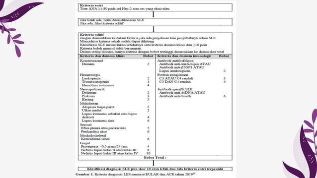 sle in pregnancy yoel.pptx