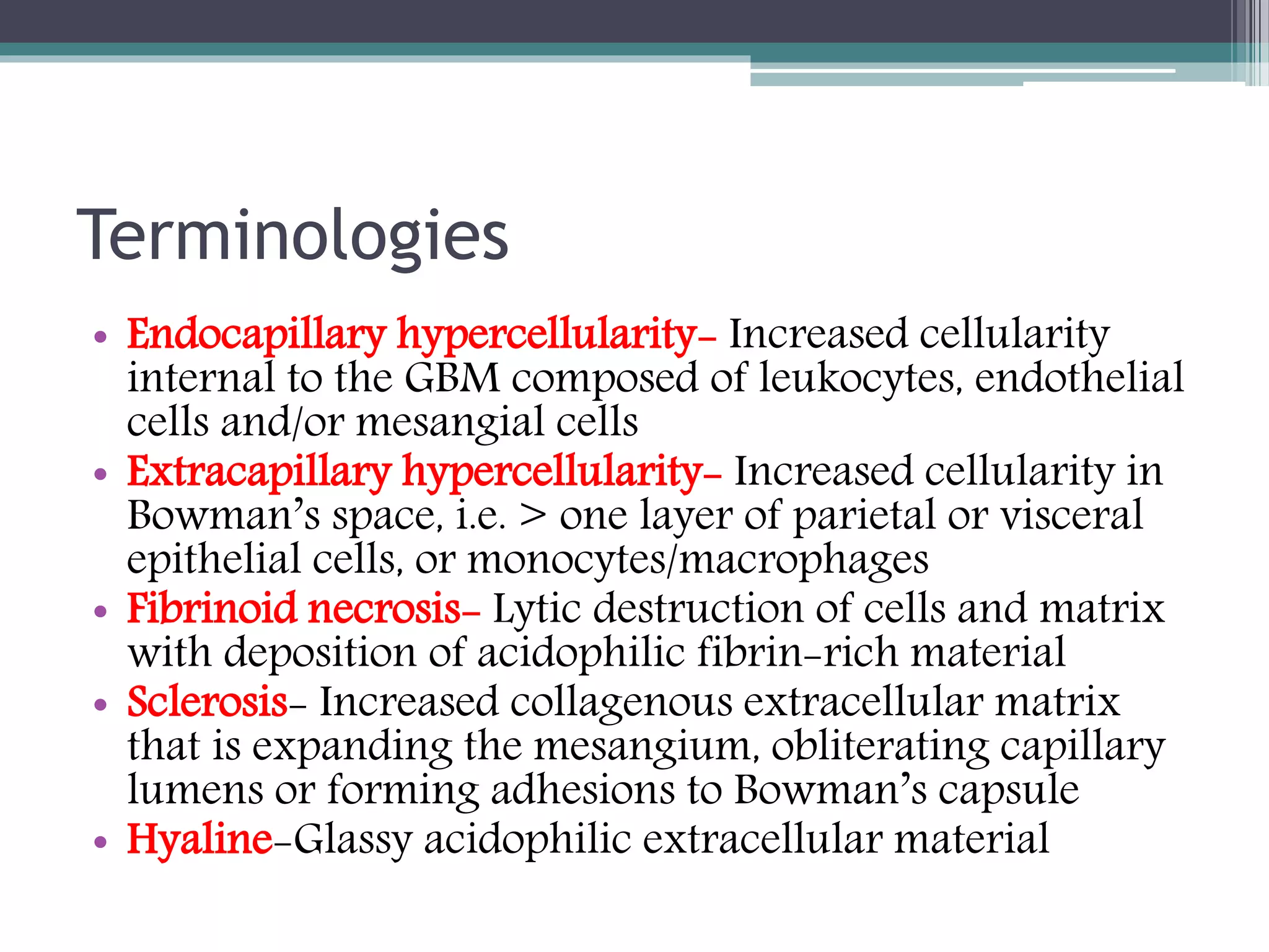 Sle & kidney | PPTX