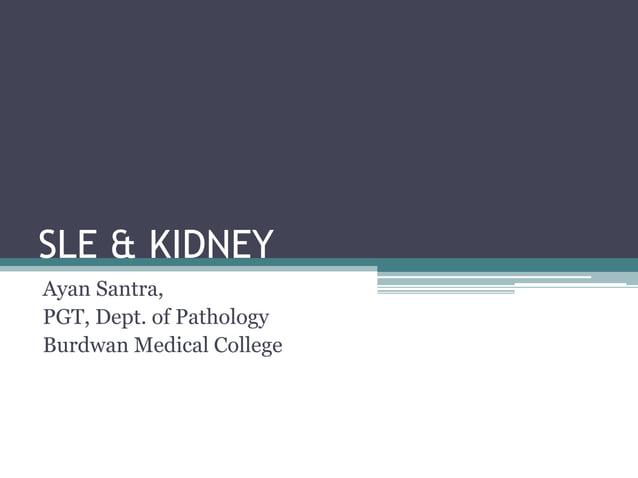 Sle & kidney | PPTX | Blood Disorders | Diseases and Conditions