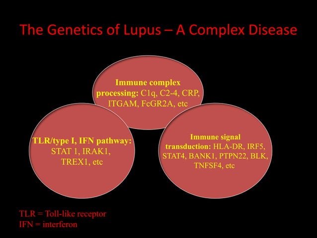 Sle pathophysiology and management | PPTX