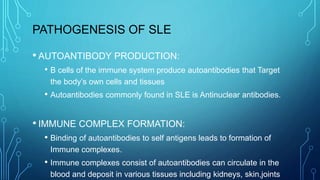 SLE PRESENTATION presentatiomn (1).pptx