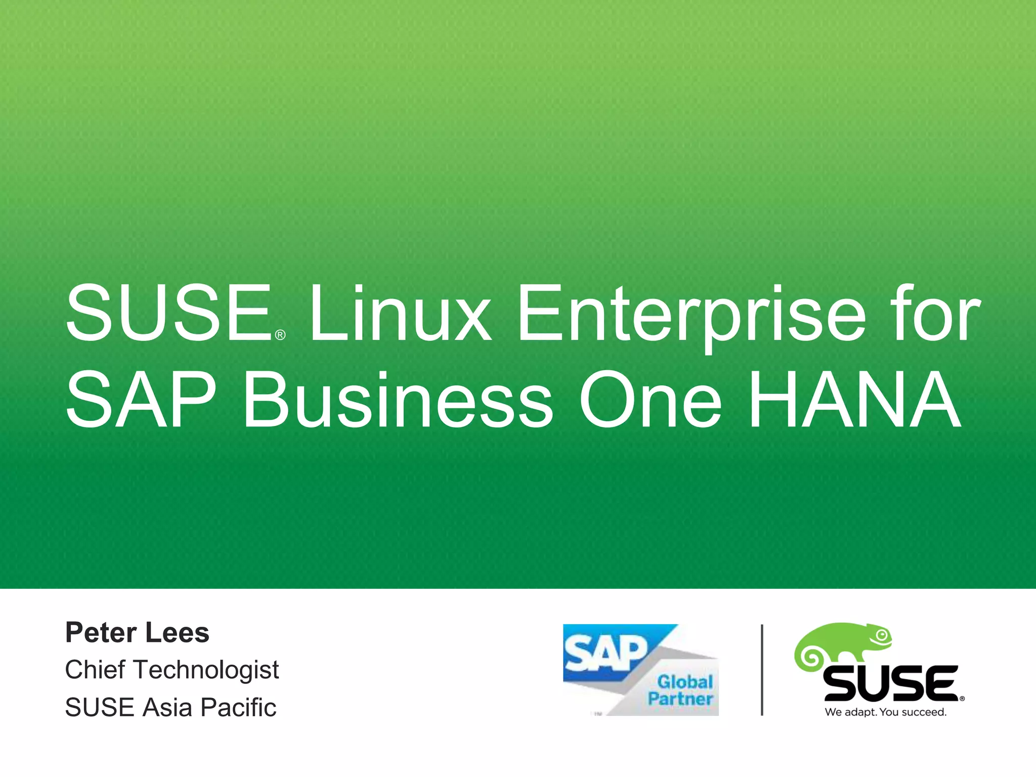 Sles for sap b1 | PPTX