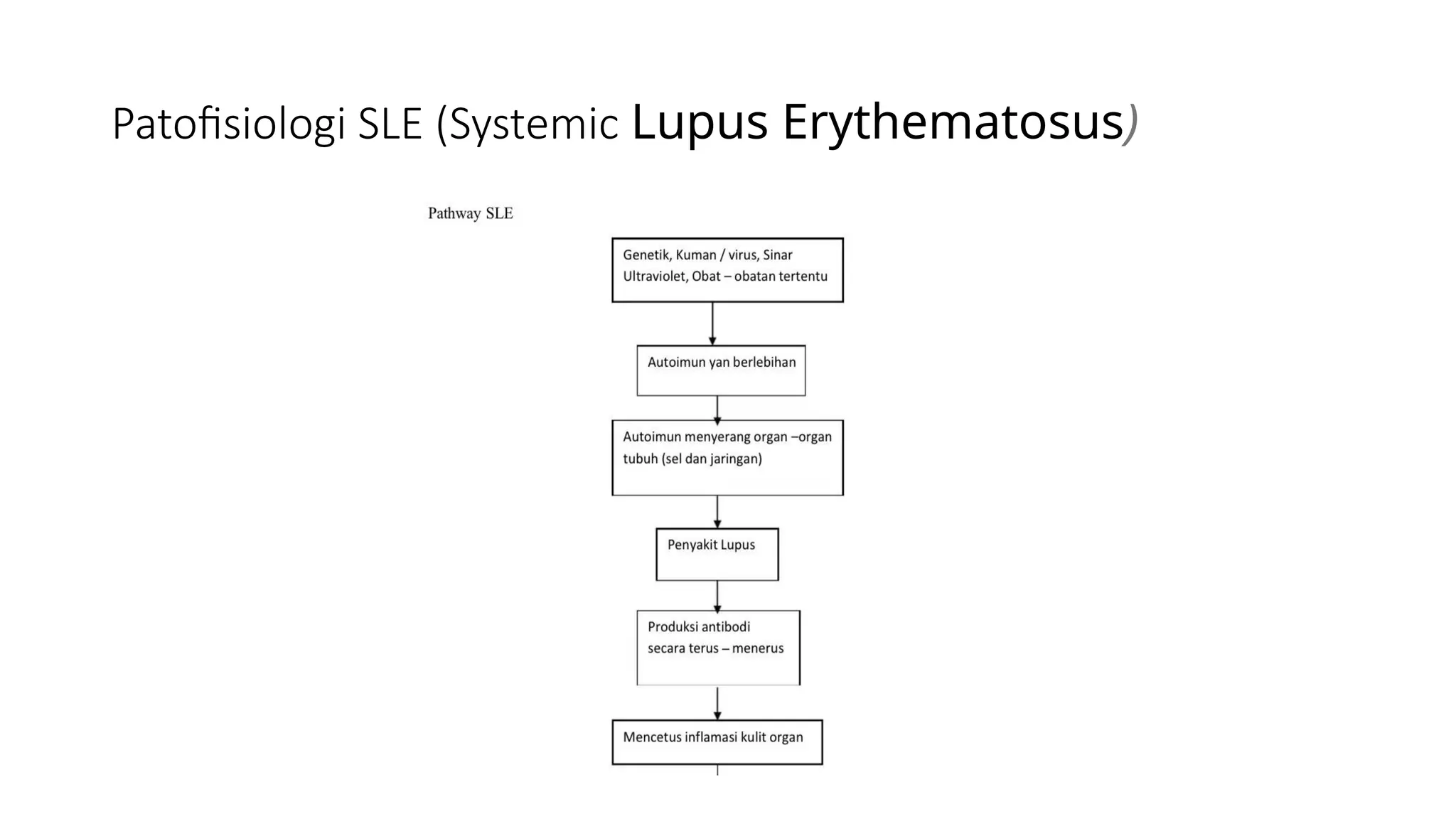 PPT_SLE (Systemic Lupus Erythematosus).pptx