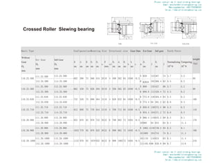 slewing bearing model & catalog slewing ring factory (101).pdf