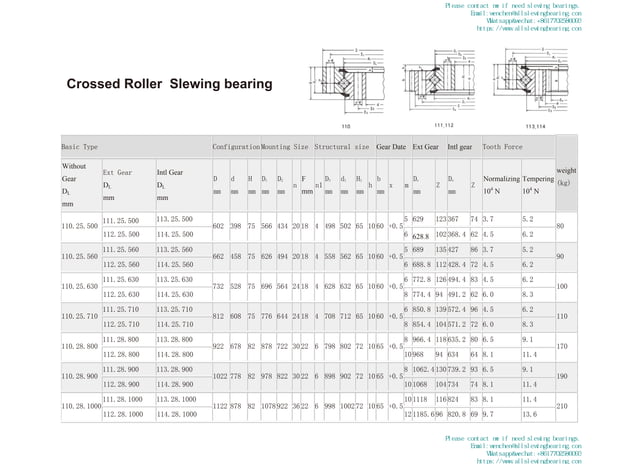 slewing bearing model & catalog slewing ring factory (101).pdf