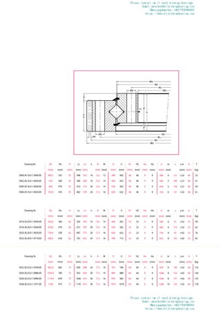 slewing bearing model & catalog slewing ring factory (44).pdf