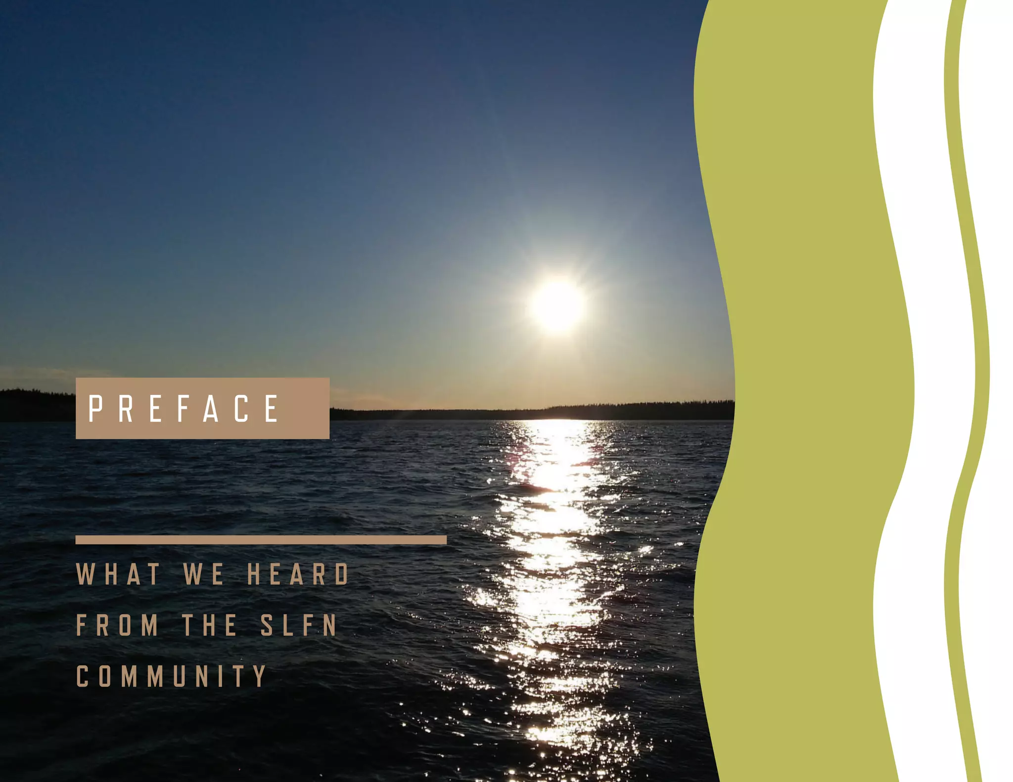 SLFN Environmental Scan | PPT