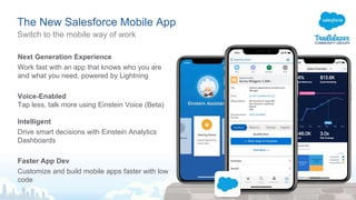 Learn MOAR Salesforce Winter '20 Event Frankfurt, Germany | PPT