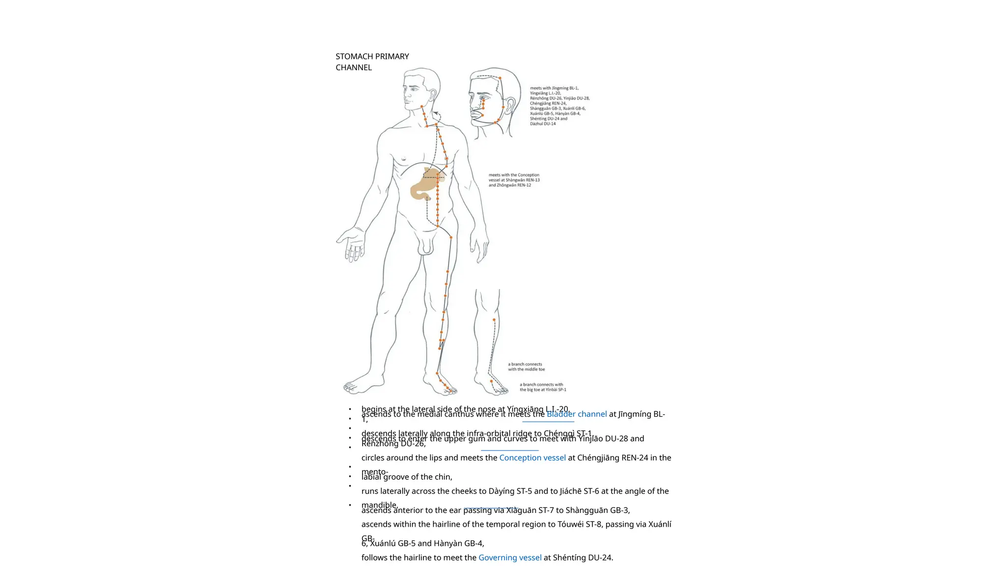 TCM_Channels_and_collaterals_14_ppt.pptx