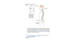 TCM_Channels_and_collaterals_14_ppt.pptx