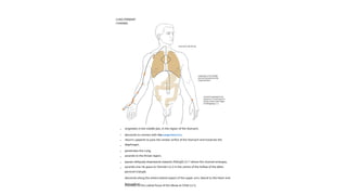 TCM_Channels_and_collaterals_14_ppt.pptx