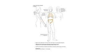 TCM_Channels_and_collaterals_14_ppt.pptx