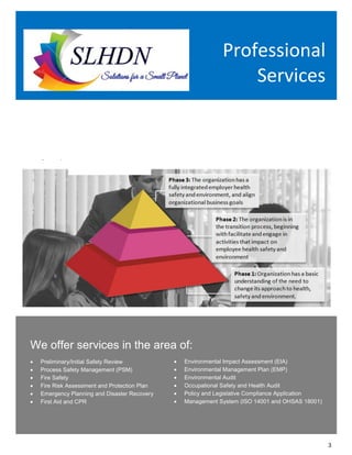 Slhdn safety profile | PDF