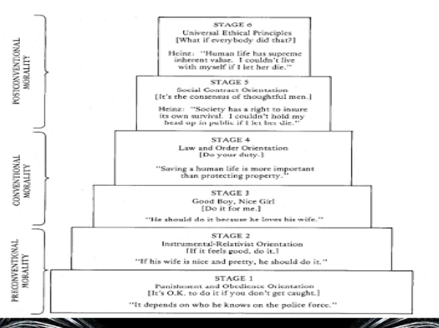 Theories related to the learner's development
