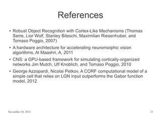 Robust Object Recognition with Cortex-Like Mechanisms | PPT