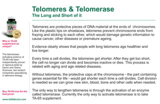 TA-65 Telomerase Activator - Is it a key to unlocking the longevity ...