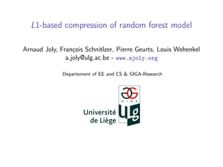 L1-based compression of random forest modelSlide | PPT