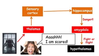 Science Journal - What is Fear , How fear is produced and how fear ...