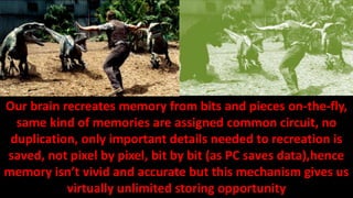 Science Journal - How much space we have in brain and How memory is ...